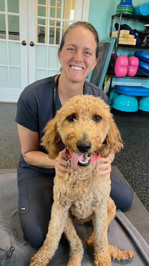 About Us | Veterinary Alternatives